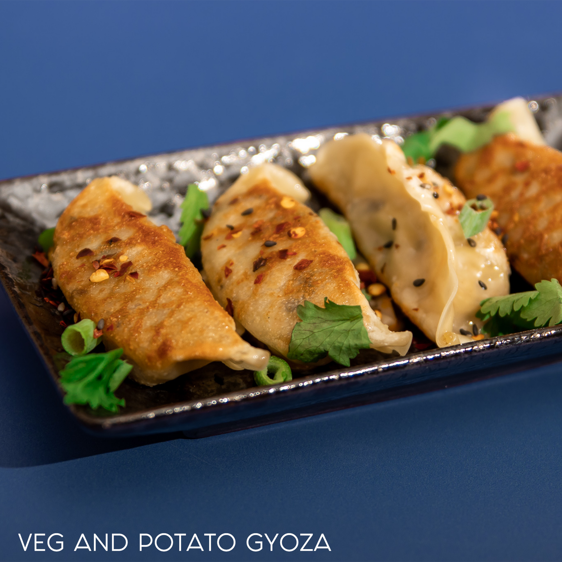 Premium Vegan Dim Sum Box for Two – Dim Sum Only